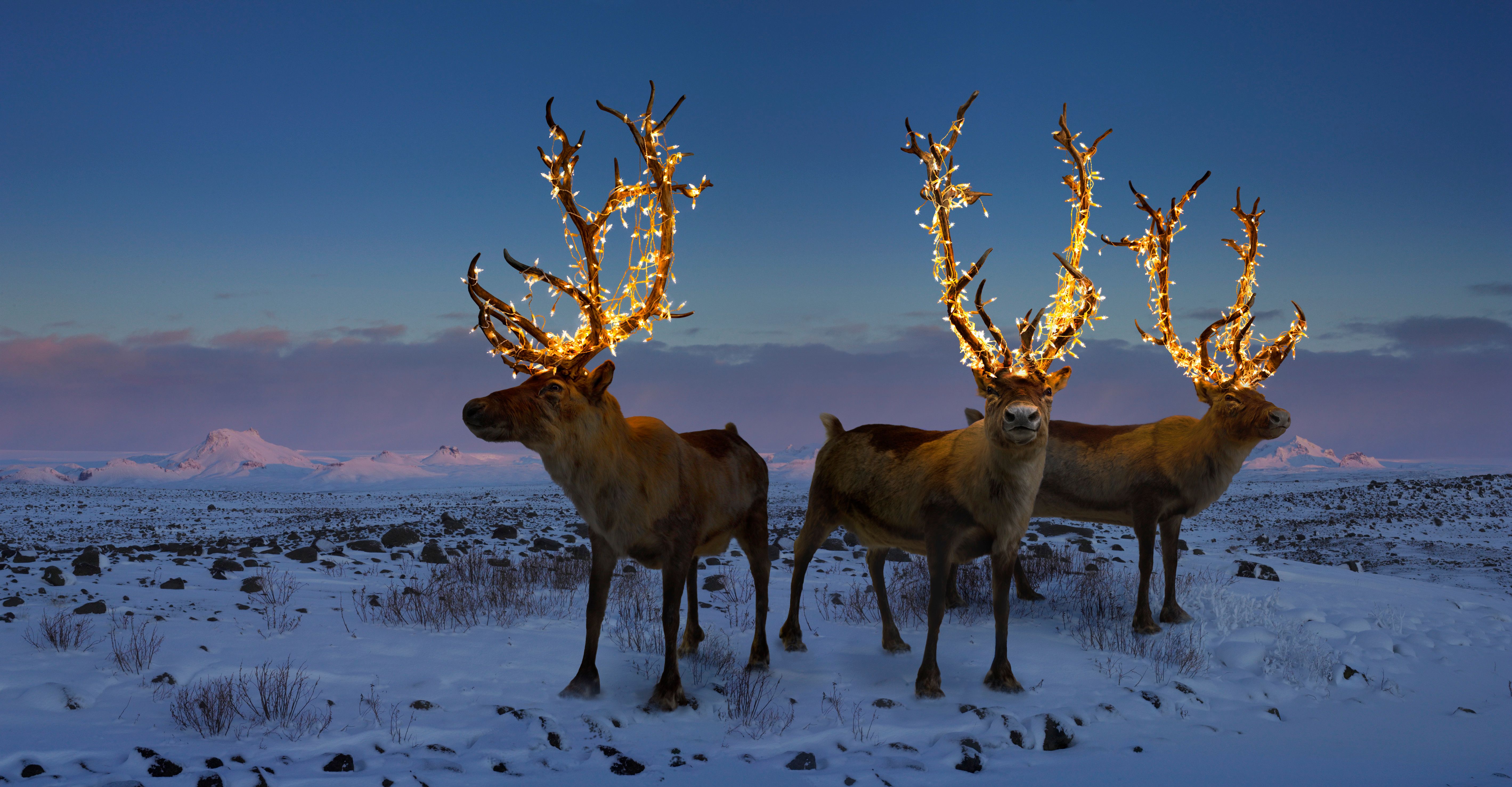 What Are Iceland’s “Red Days”? - Key to Iceland